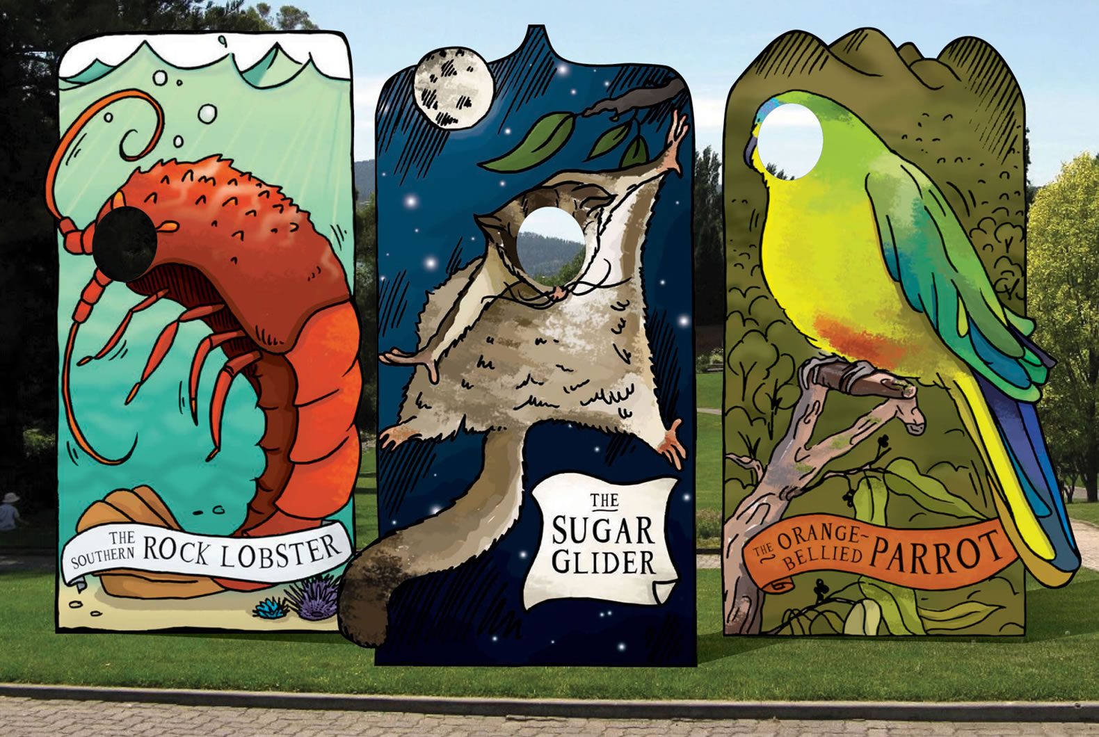 DPAC Peek Throughs | Children’s illustration | Cathy McAuliffe Design ...